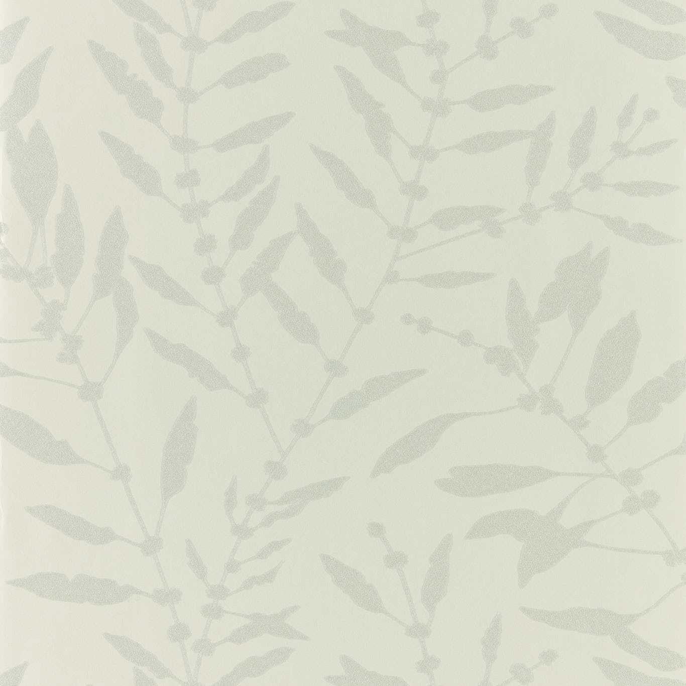 Chaconia Shimmer - Sand